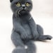 CAT VASYA Needle Felted, Collectible Realistic Animals, Handmade Gifts ...