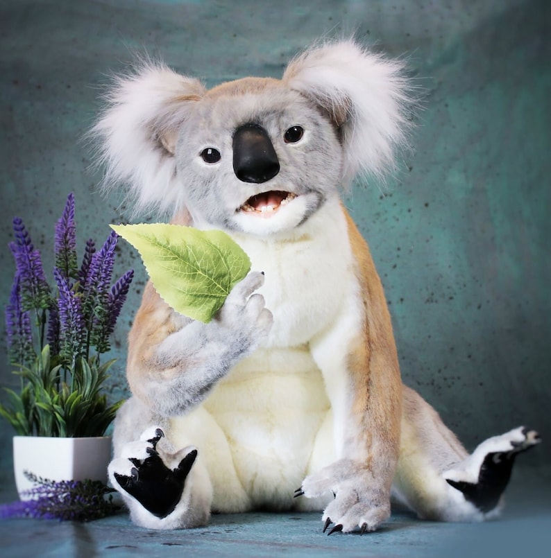 BIG KOALA PLUSH Toy, Realistic Koala, Unique Plush Toy Made to Order ...