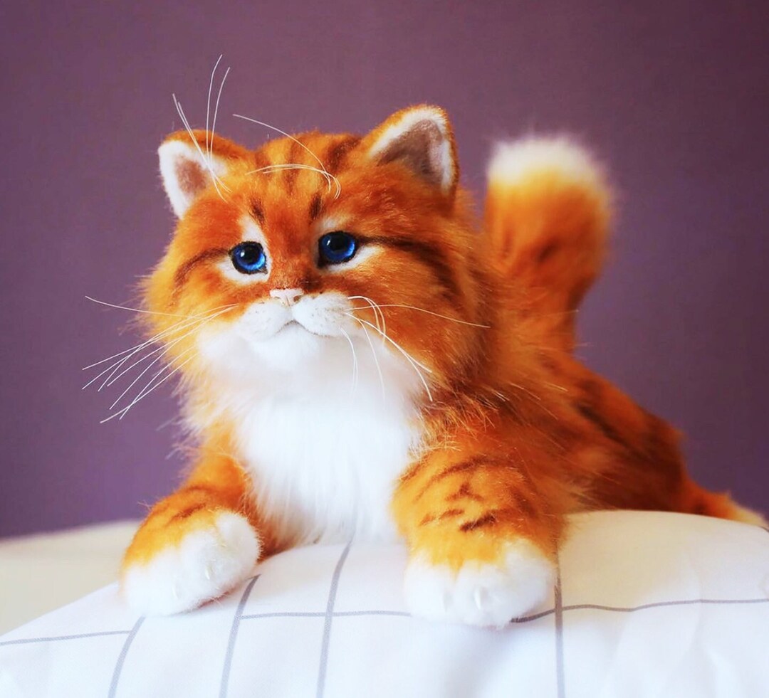 PLUSH KITTY, Plush Toy, 3D Realistic Cat Plushie, Plush Toy, Gift for ...