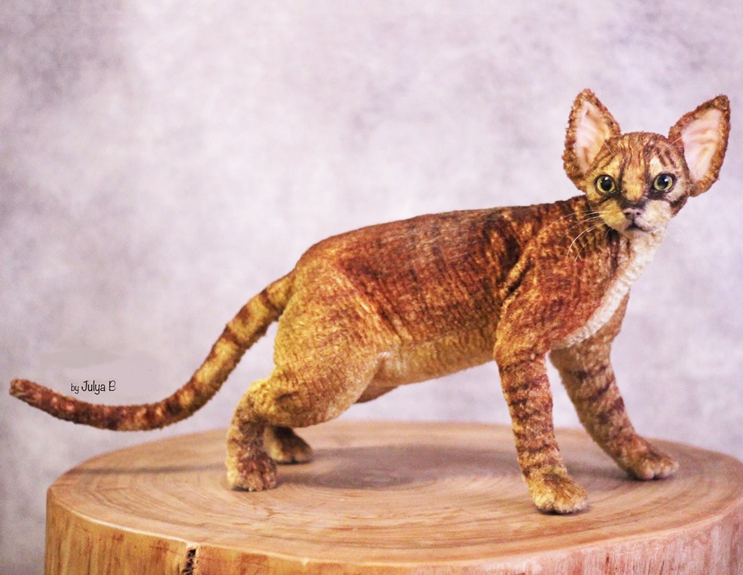 DEVON REX CAT Plush Toy, 3D Realistic Cat Plushie, Stuffed Cat, Plush ...