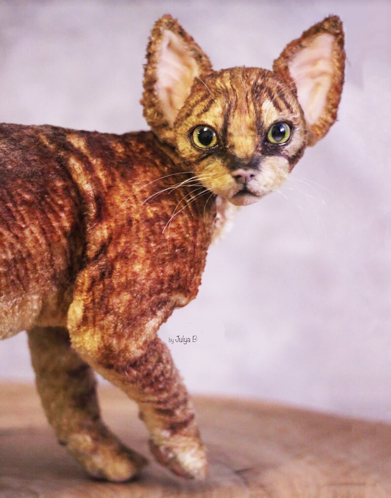 DEVON REX CAT Plush Toy 3D Realistic Cat Plushie Stuffed - Etsy