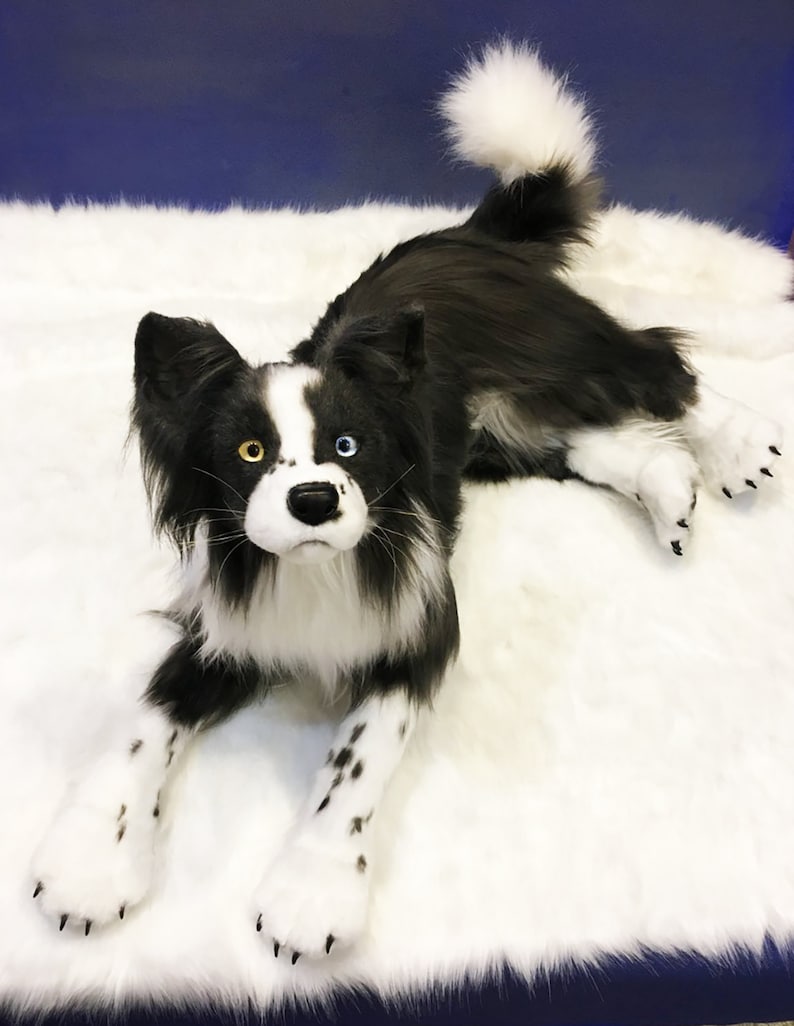 BIG DOG Border Collie Custom Stuffed Dog, Plush Toy, Dog Stuffed Animal ...