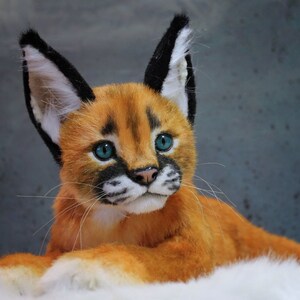 BIG CARACAL Plush Toy Made to Order, 3D Realistic Wild Cat Plushie ...