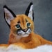 BIG CARACAL Plush Toy Made to Order, 3D Realistic Wild Cat Plushie ...