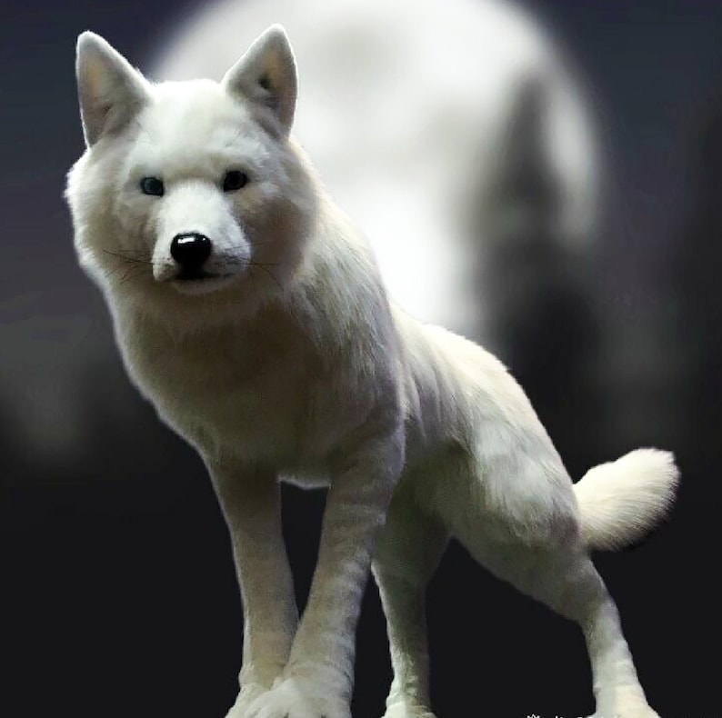 BIG REALISTIC WOLF Plushie Made to Order, Plush Toy, 3D Realistic Wolf ...