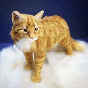 CUSTOM CAT Plush Toy, 3D Realistic Cat Plushie, Plush Toy, Gift for Her ...