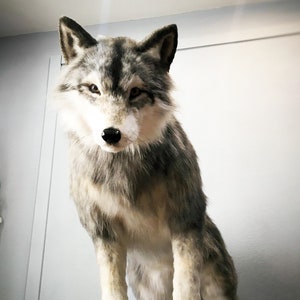 BIG ADULT WOLF Plushie Made to Order, Stuffed Wolf, 3D Realistic Art ...