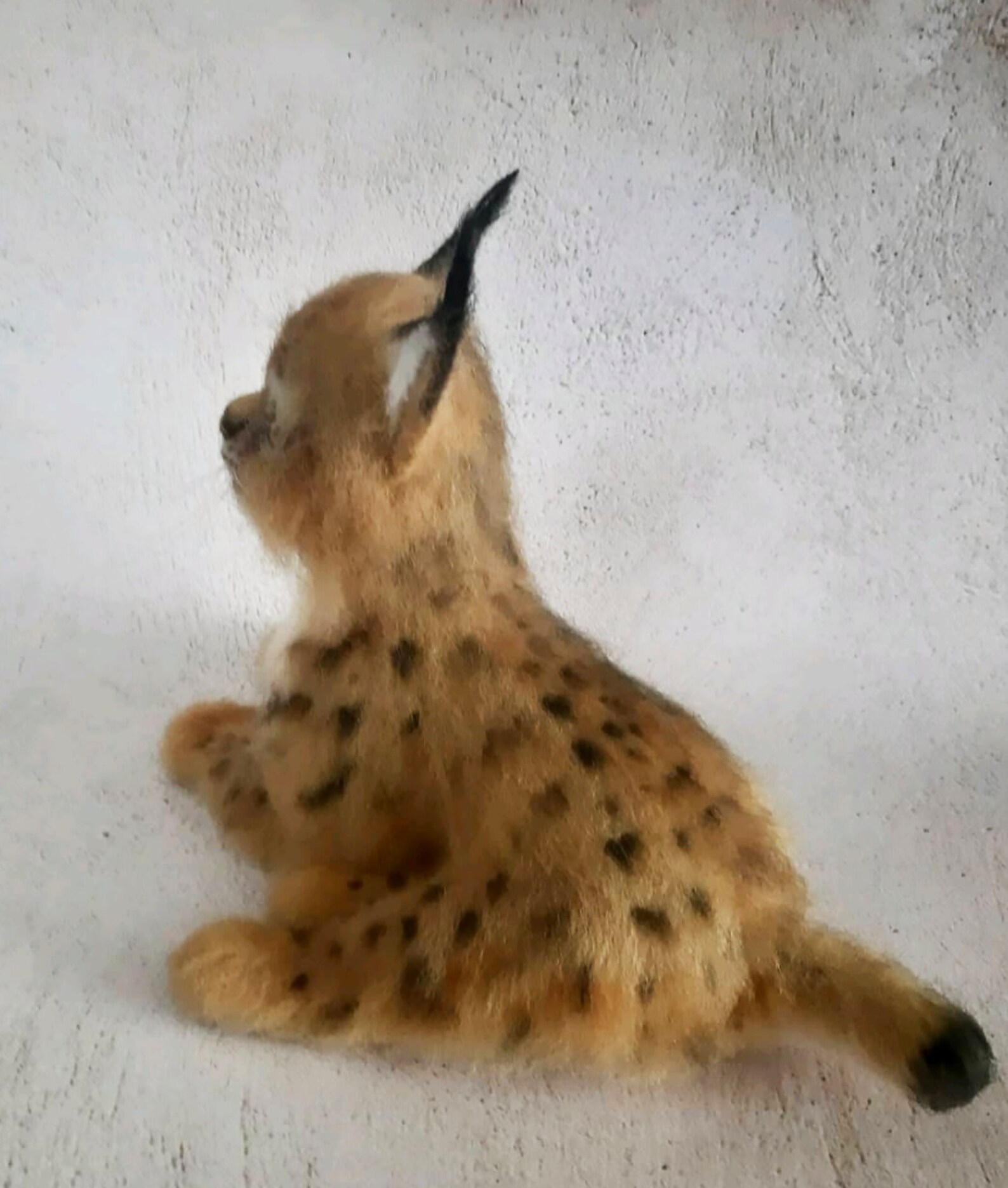 LYNX Kitten Needle Felted, Collectible Realistic Animals, Handmade ...