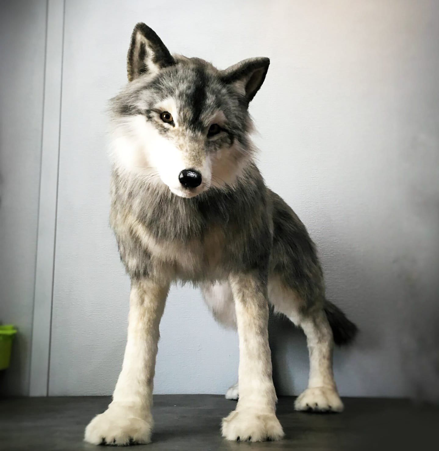 BIG ADULT WOLF Plushie Made to Order Stuffed Wolf 3D - Etsy Australia