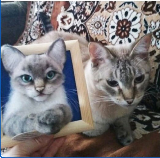 CUSTOM CAT PORTRAIT Personalized Pet Portrait 3d Cat in - Etsy