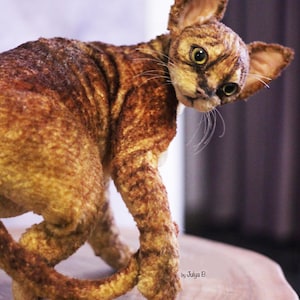 DEVON REX CAT Plush Toy, 3D Realistic Cat Plushie, Stuffed Cat, Plush ...
