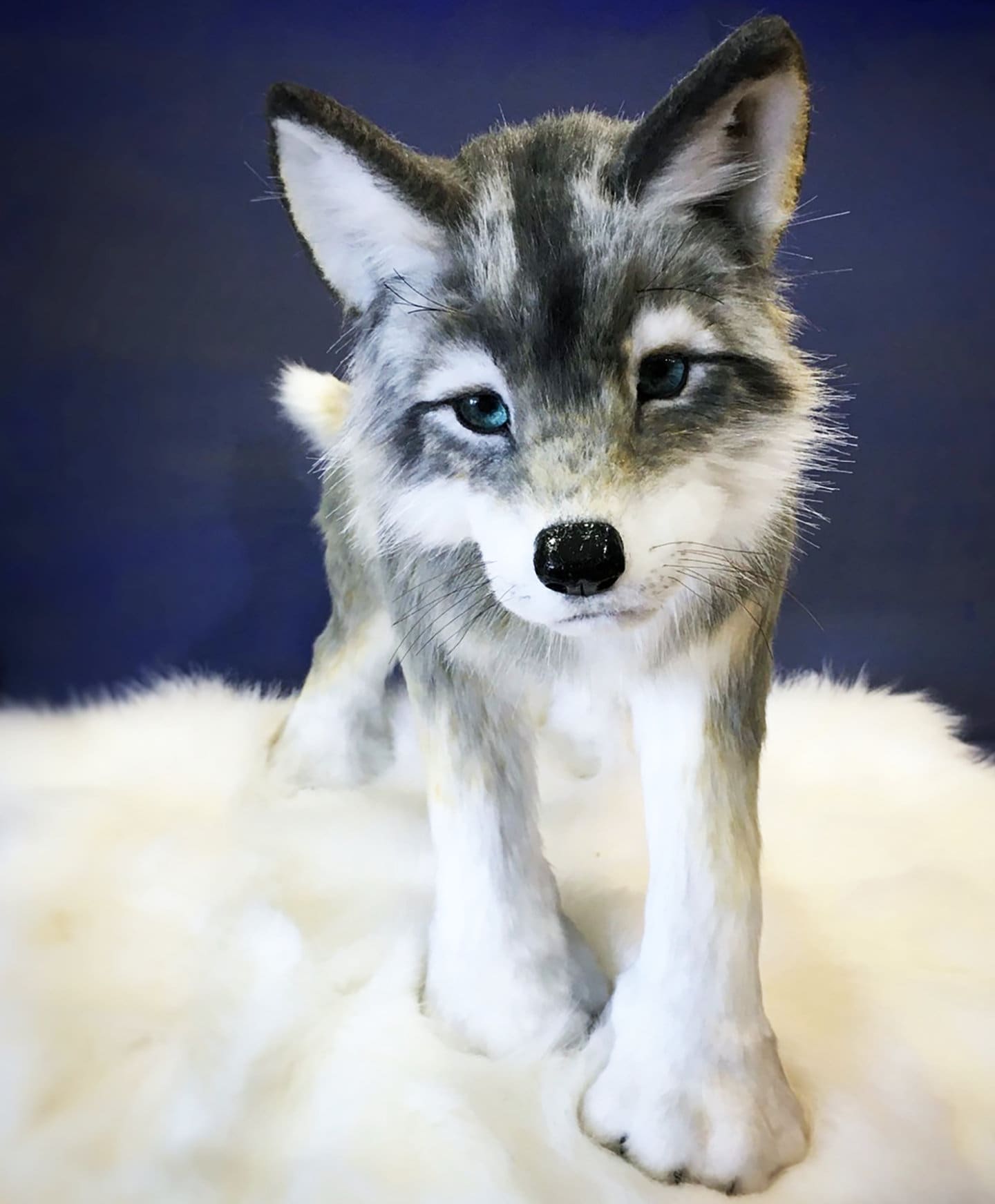 BIG WOLF CUB Plushie, Wolf Cub Stuffed Animal, 3D Realistic Wolf ...