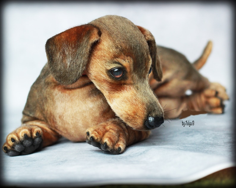 Dachshund Plush Dog Toy, 3D Realistic Dog Plushie, Realistic Art Doll ...