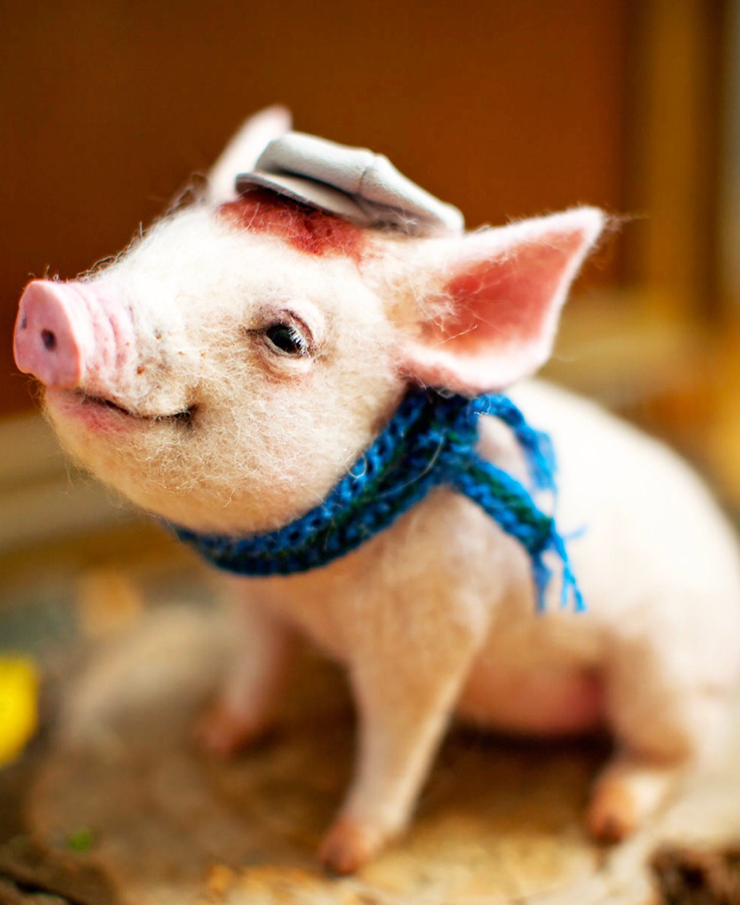 Needle Felted Cute PIGLET, Felted Pig, Felt Baby Pig, Pig Felt, Pig ...