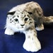 BABY SNOW LEOPARD Plush Toy, Unique Plush Toy - Etsy