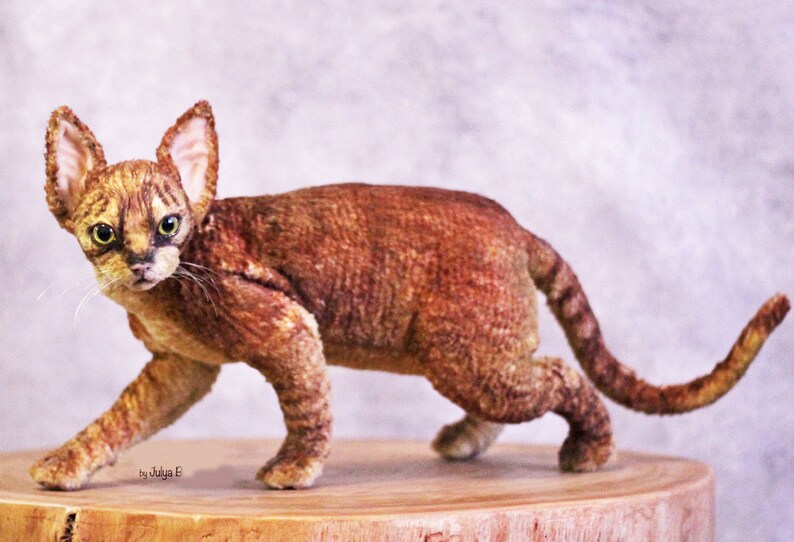 DEVON REX CAT Plush Toy 3D Realistic Cat Plushie Stuffed - Etsy
