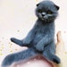 CAT VASYA Needle Felted, Collectible Realistic Animals, Handmade Gifts ...