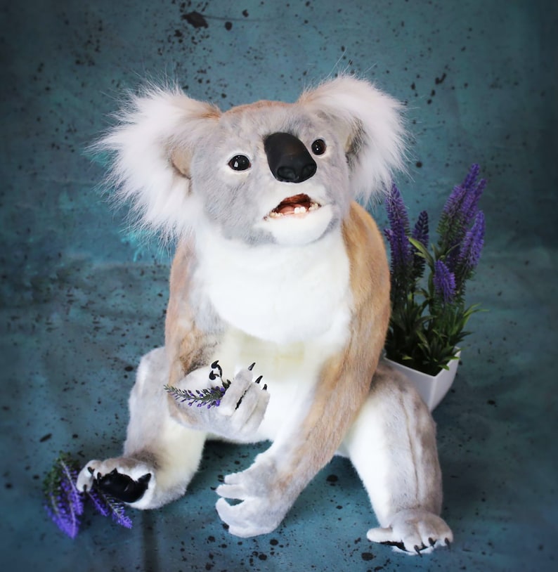 BIG KOALA PLUSH Toy Realistic Koala Unique Plush Toy Made to - Etsy
