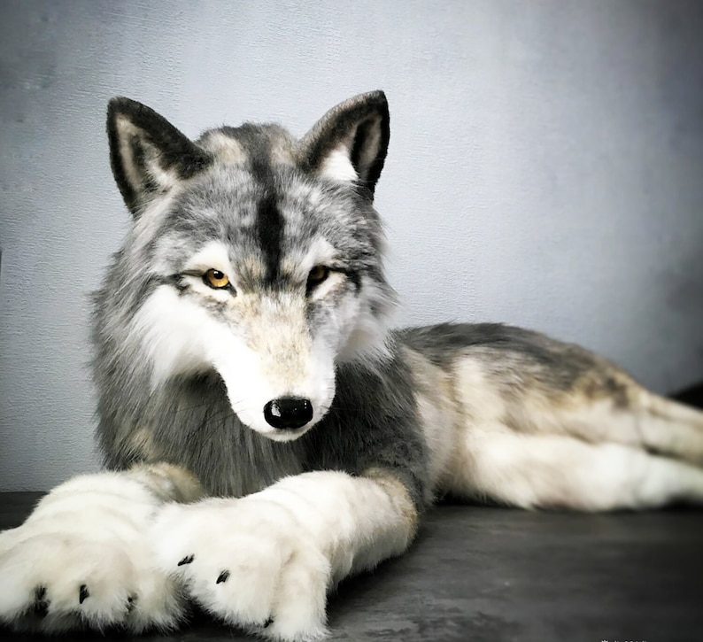 BIG ADULT WOLF Plushie Made to Order Stuffed Wolf 3D - Etsy