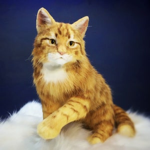 CUSTOM CAT Plush Toy, 3D Realistic Cat Plushie, Plush Toy, Gift for Her ...