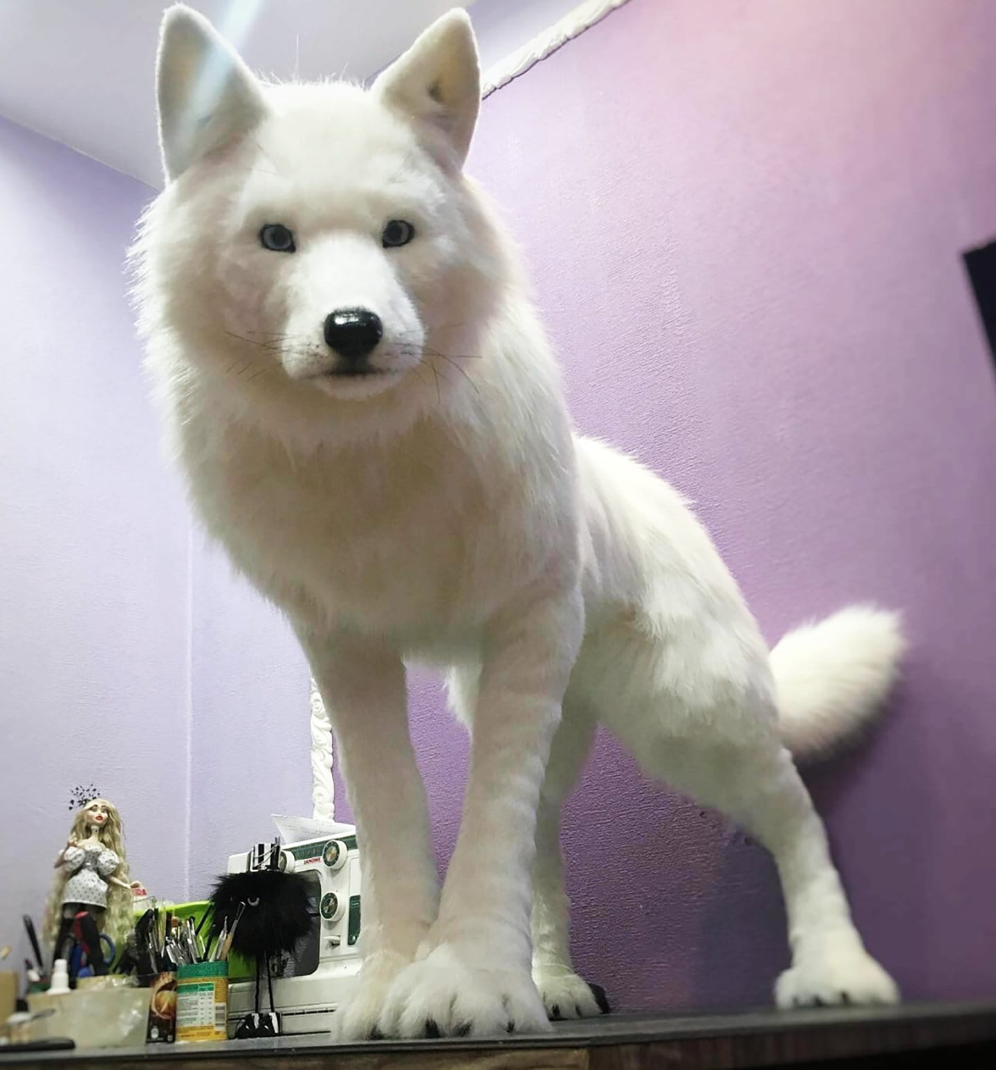 BIG REALISTIC WOLF Plushie Made to Order, Plush Toy, 3D Realistic Wolf ...