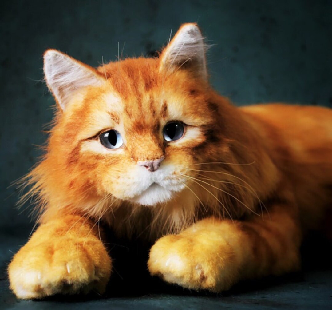 BIG Realistic Cat Plush From Photos, Cat Plushie, Weighted Plush Toy ...