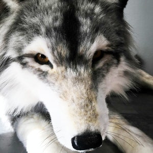 BIG ADULT WOLF Plushie Made to Order, Stuffed Wolf, 3D Realistic Art ...