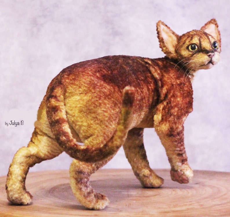 DEVON REX CAT Plush Toy 3D Realistic Cat Plushie Stuffed - Etsy