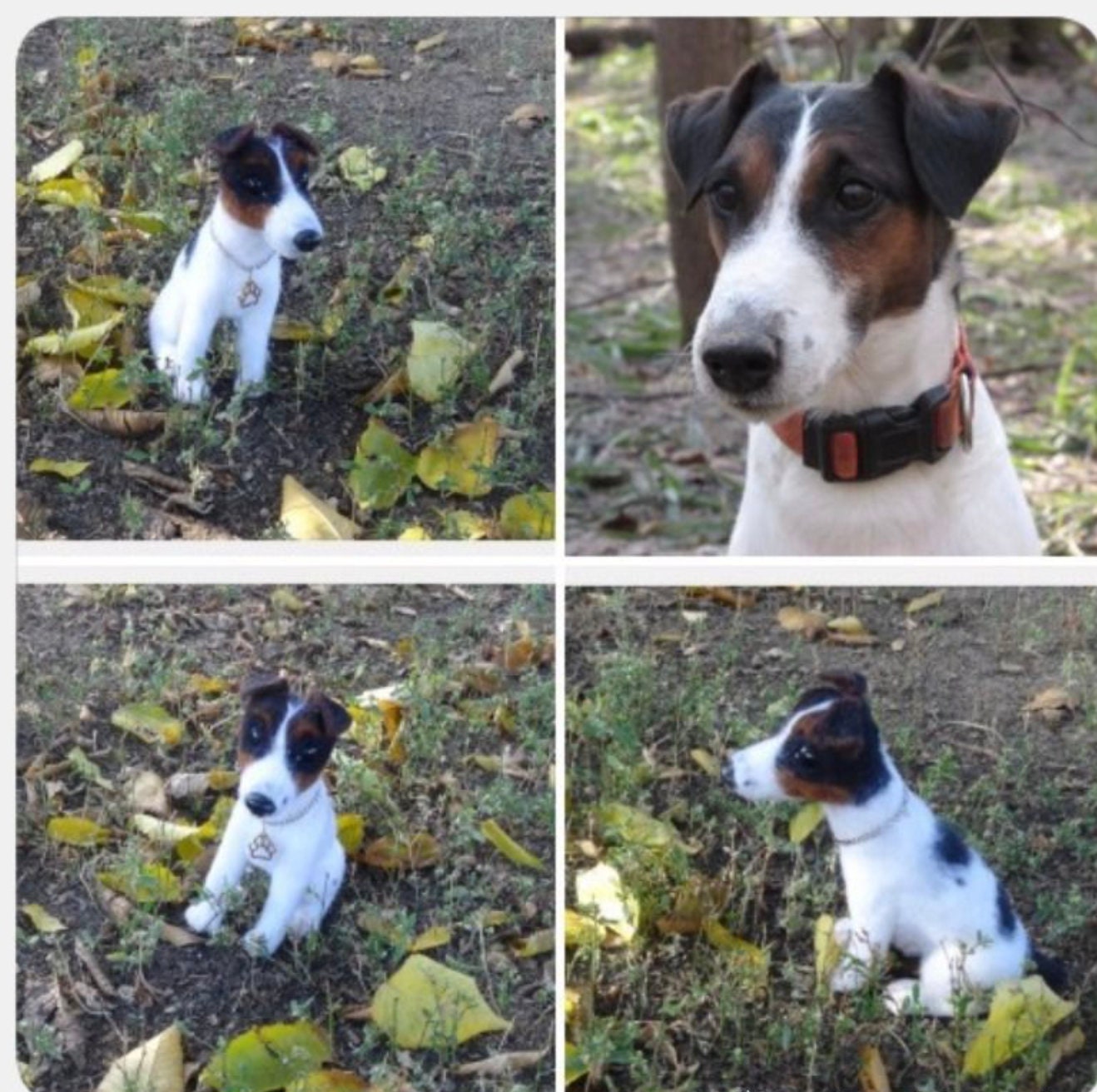 YOUR DOG From PICTURE Customized Needle Felted Realistic - Etsy