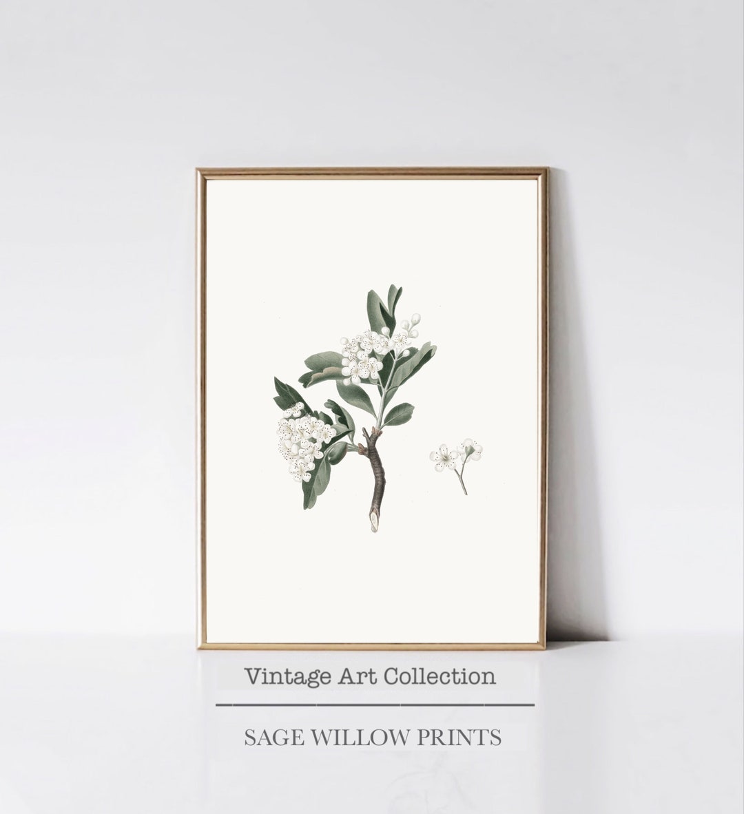 Printable Botanical Art Print for Home Decor Vintage Floral Art Print ...