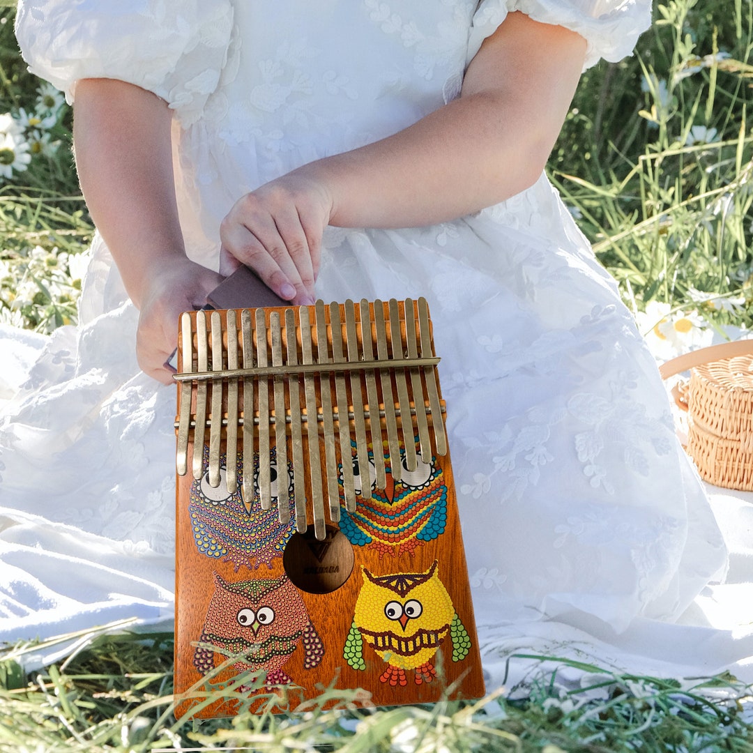 Painted Kalimba- OWL 17 Key Mahogany Kalimba African Thumb Piano Finger ...