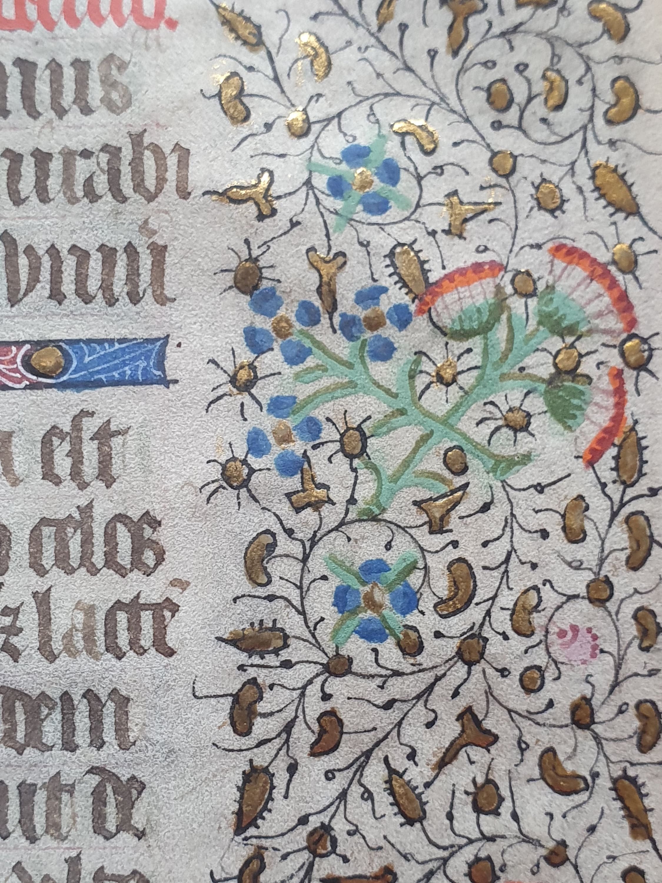 Middle Ages Rare, Illumination : Sheet From a Medieval Manuscript on ...