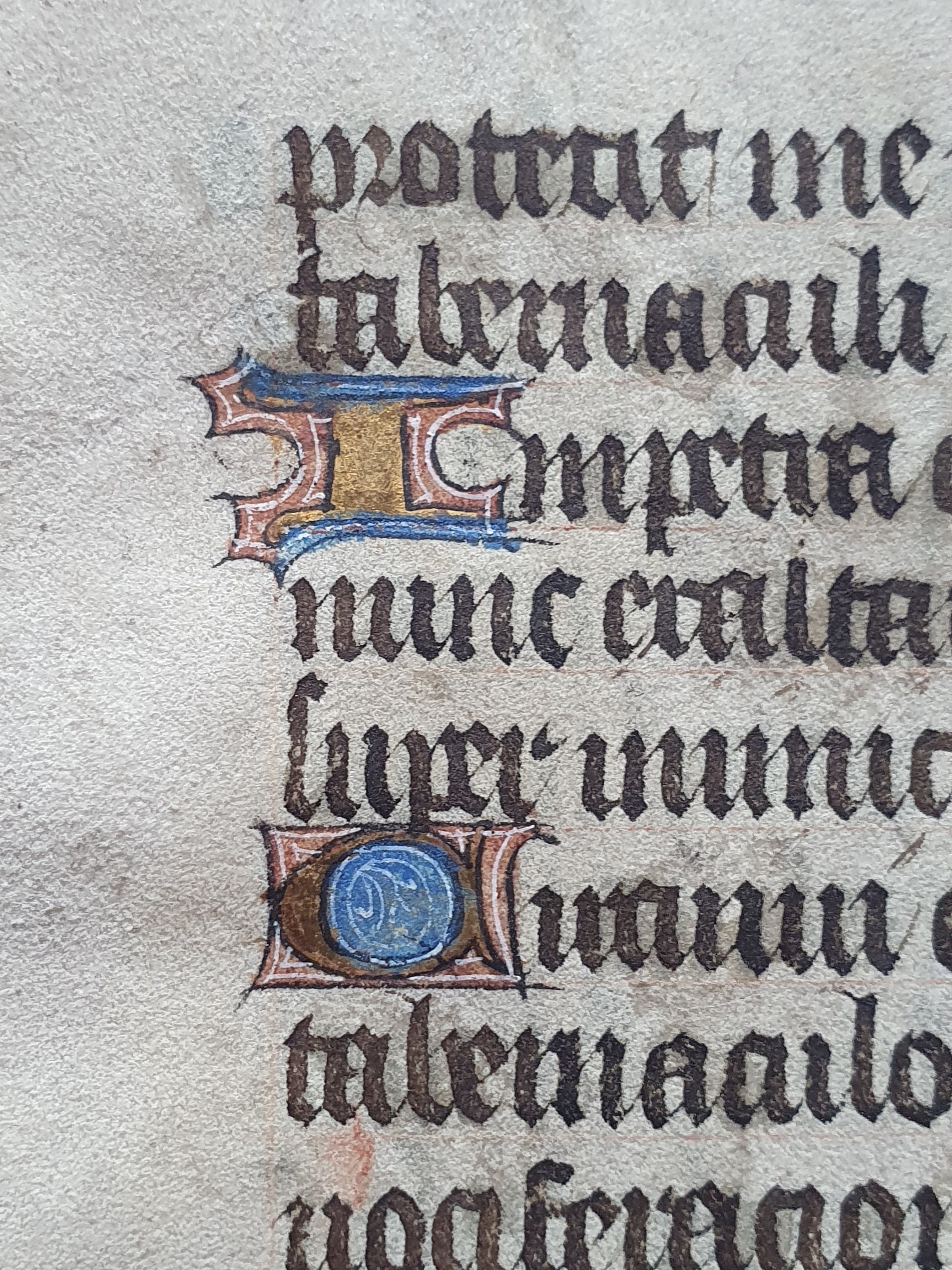 Middle Ages Rare, Illumination : Sheet From a Medieval Manuscript on ...