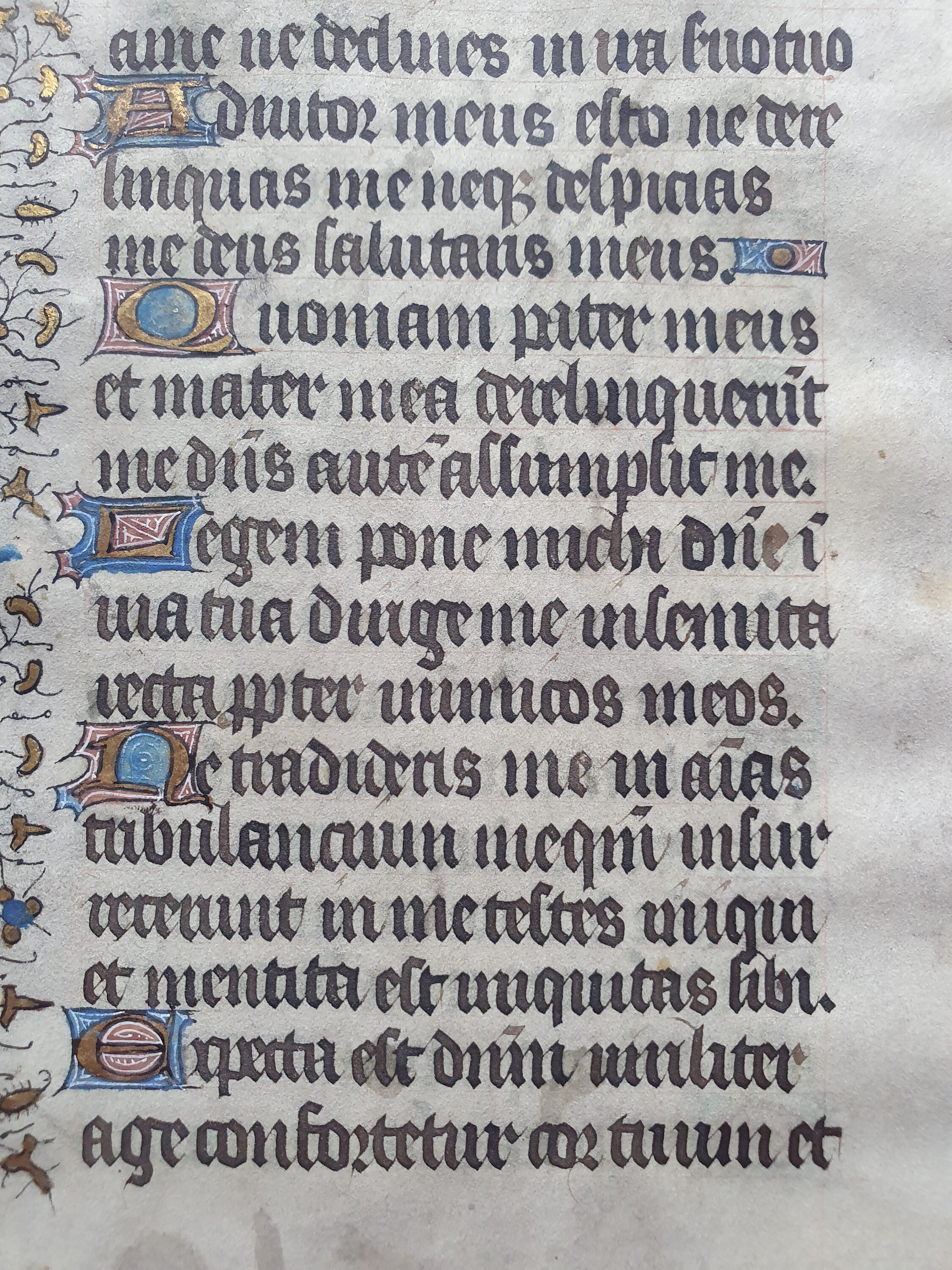 Middle Ages Rare, Illumination : Sheet From a Medieval Manuscript on ...