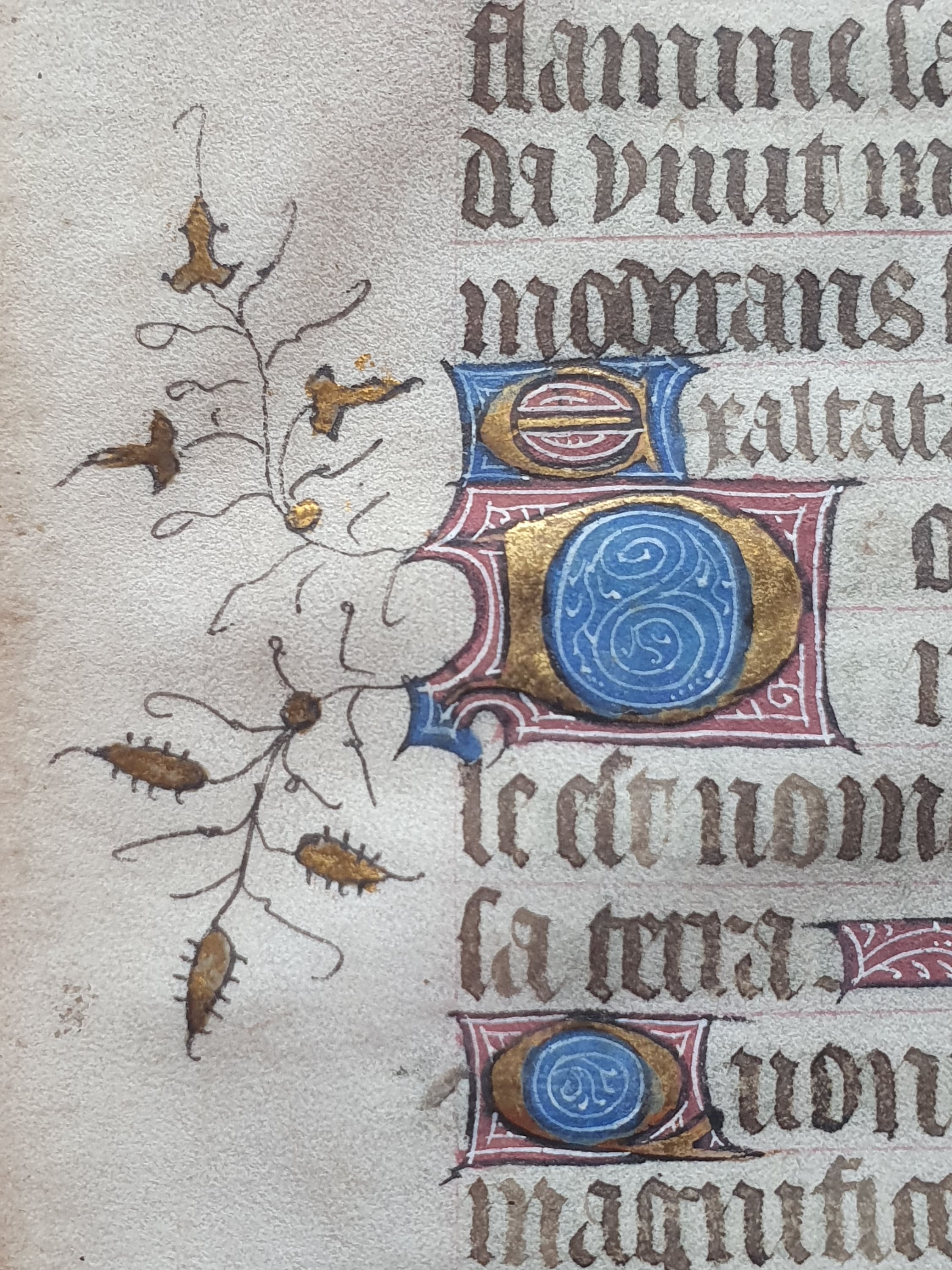 Middle Ages Rare, Illumination : Sheet From a Medieval Manuscript on ...