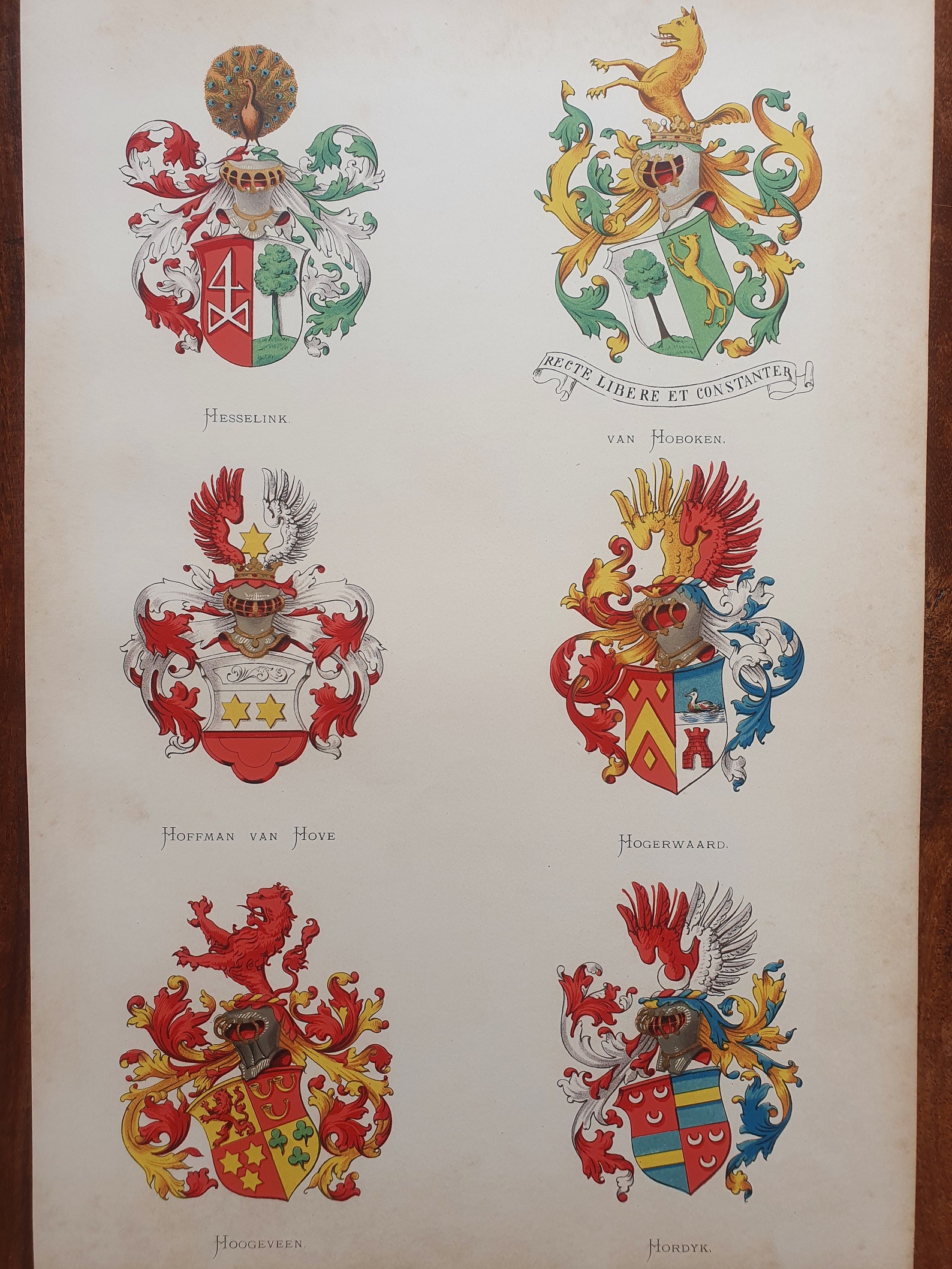 1880 Dutch Heraldry houses: Hesselink Van Hoboken Hoffman - Etsy