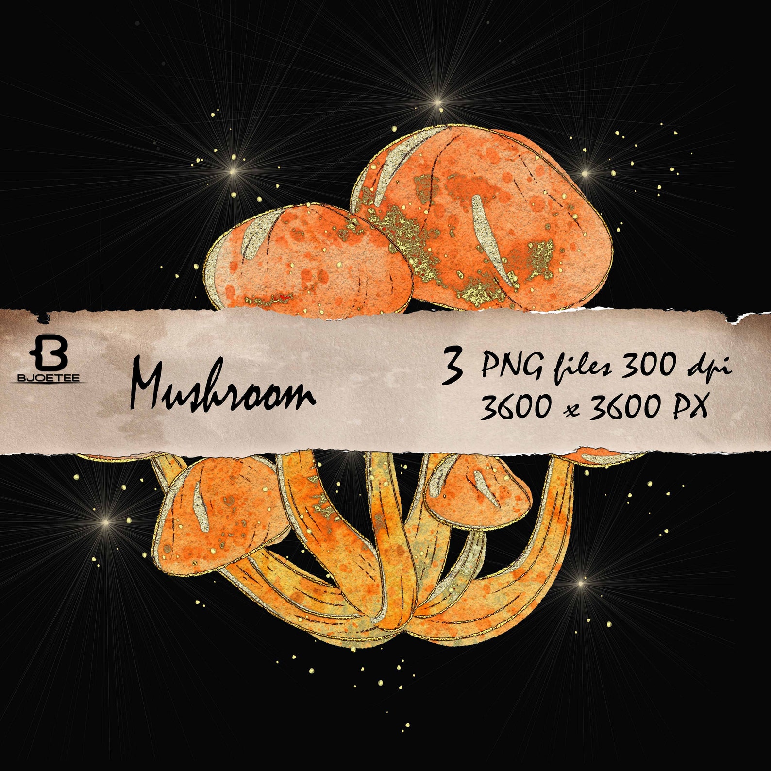 Mushroom Clipart Autumn Clipart Fall Png Fall Clipart Fall - Etsy