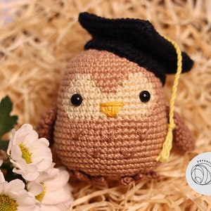 Graduation Owl Crochet Pattern, Amigurumi DIY Gift - Etsy