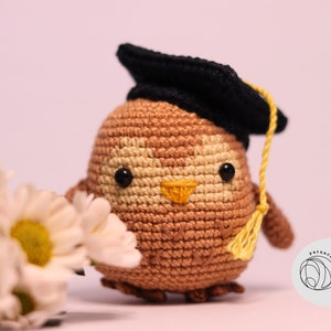 Graduation Owl Crochet Pattern, Amigurumi DIY Gift - Etsy