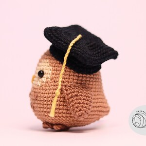 Graduation Owl Crochet Pattern, Amigurumi DIY Gift - Etsy