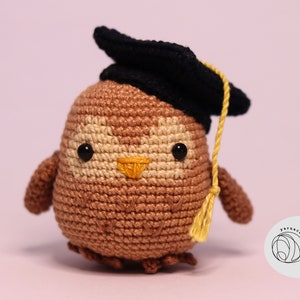 Graduation Owl Crochet Pattern, Amigurumi DIY Gift - Etsy