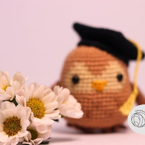 Graduation Owl Crochet Pattern, Amigurumi DIY Gift - Etsy