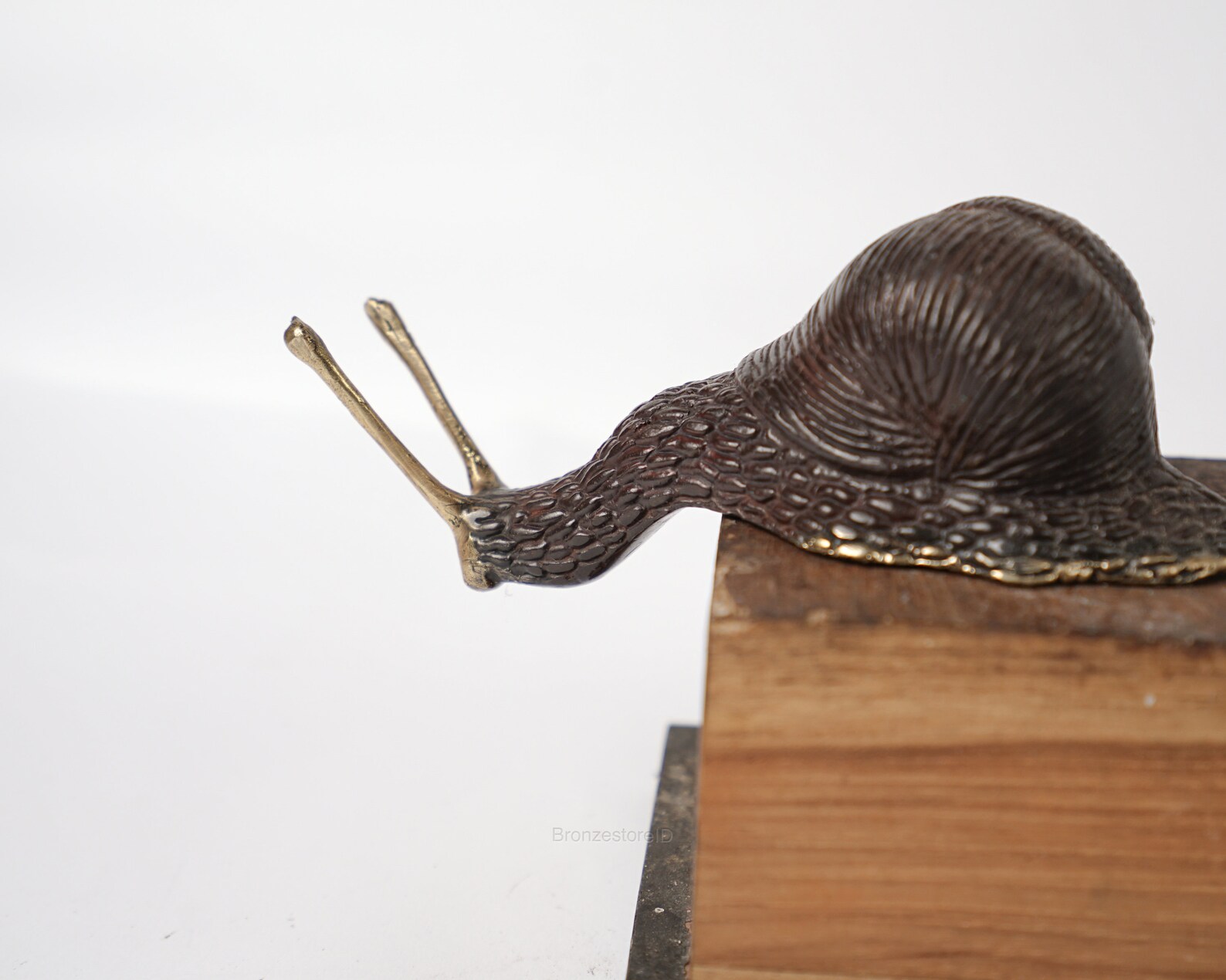 2 SIZES Snail Statue Snail Figurine Home Decor House - Etsy