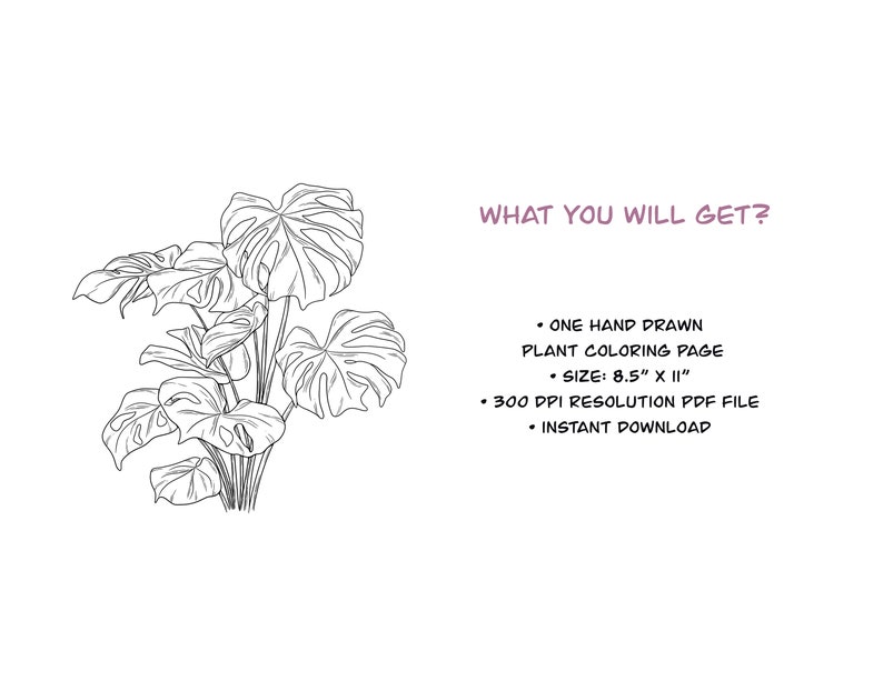 Printable Adult Coloring Page Monstera Leaf Botanical Plant - Etsy