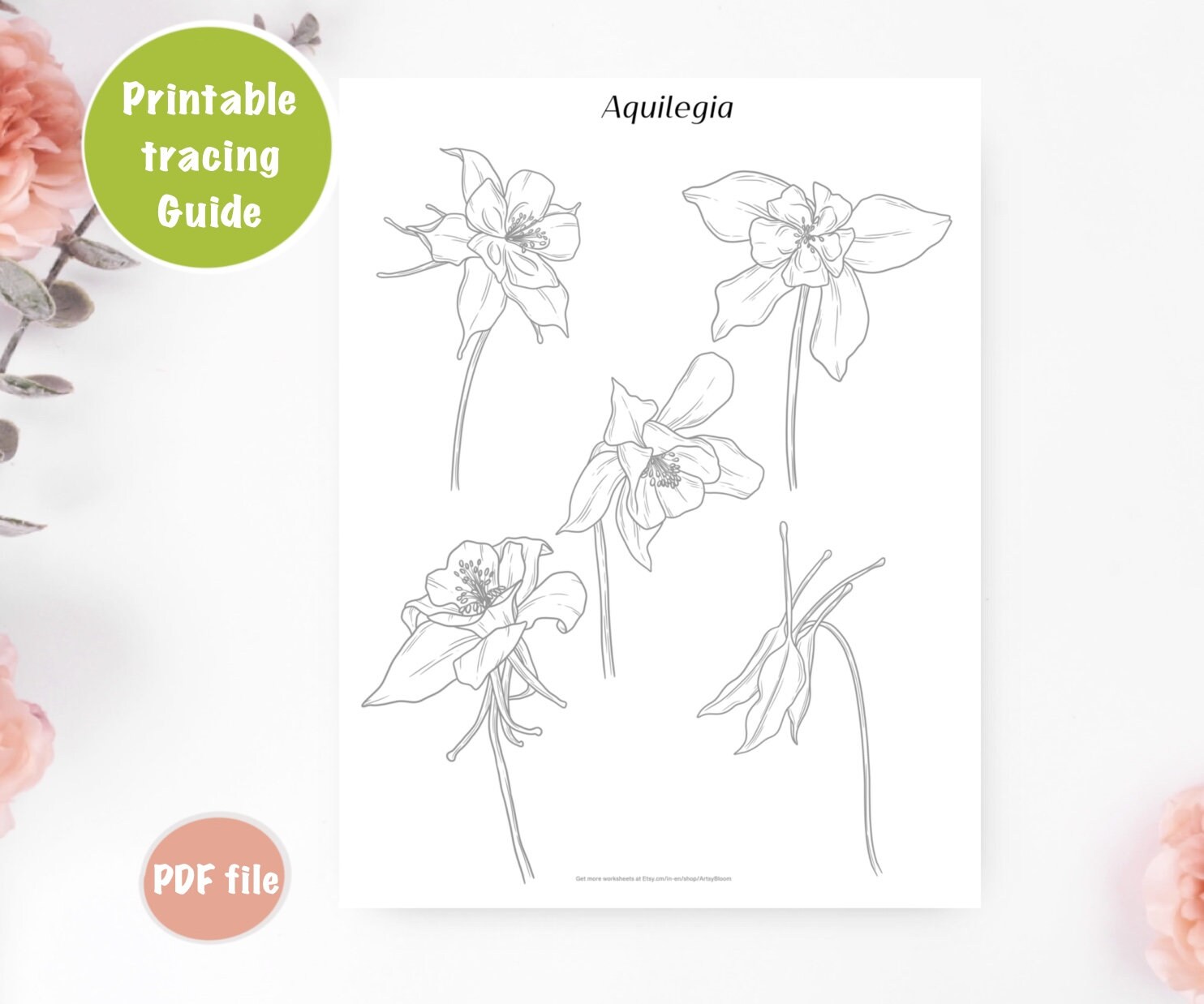 Flower Tracing Guides, Learn to Draw Flowers, Coloring Pages, Printable ...