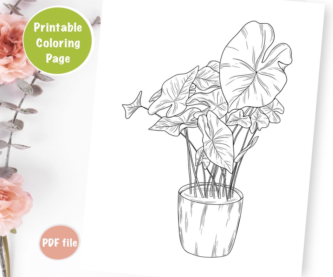 Printable Adult Coloring Page,caladium Botanical Plant Drawing, Indoor ...