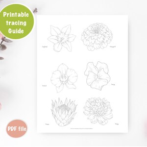 Flower Tracing Guides, Learn to Draw Flowers, Coloring Pages, Printable ...