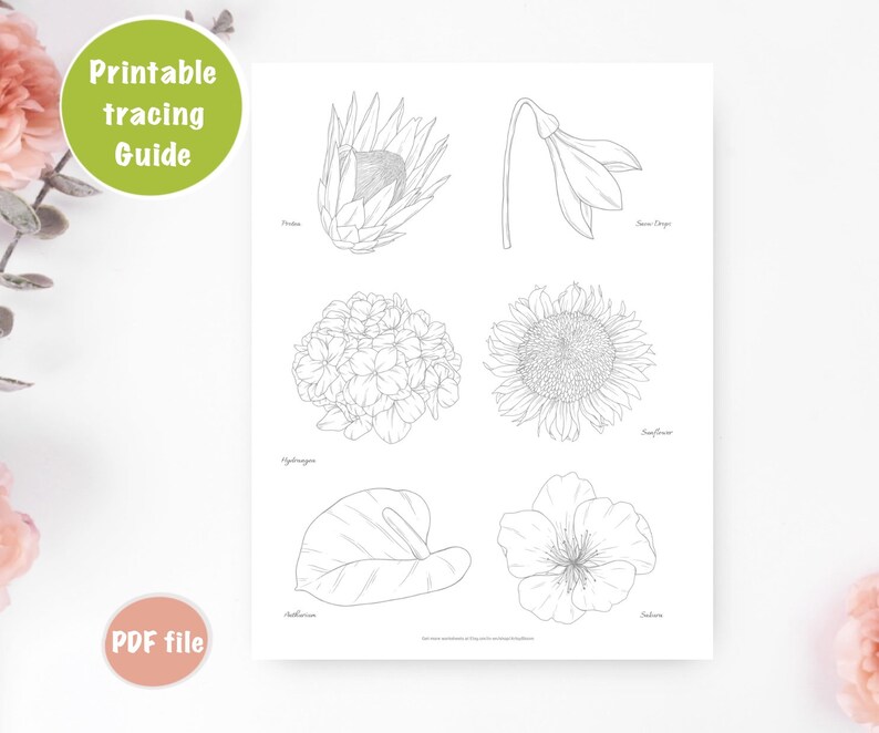 Flower Tracing Guides, Learn to Draw Flowers, Coloring Pages, Printable ...