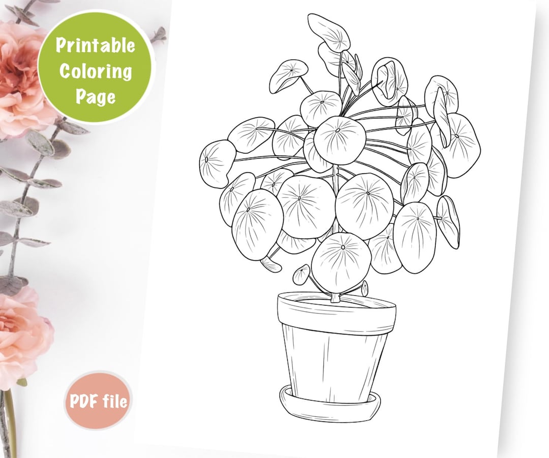 Printable Adult Coloring Page, Botanical Plant Drawing, Chinese Money ...