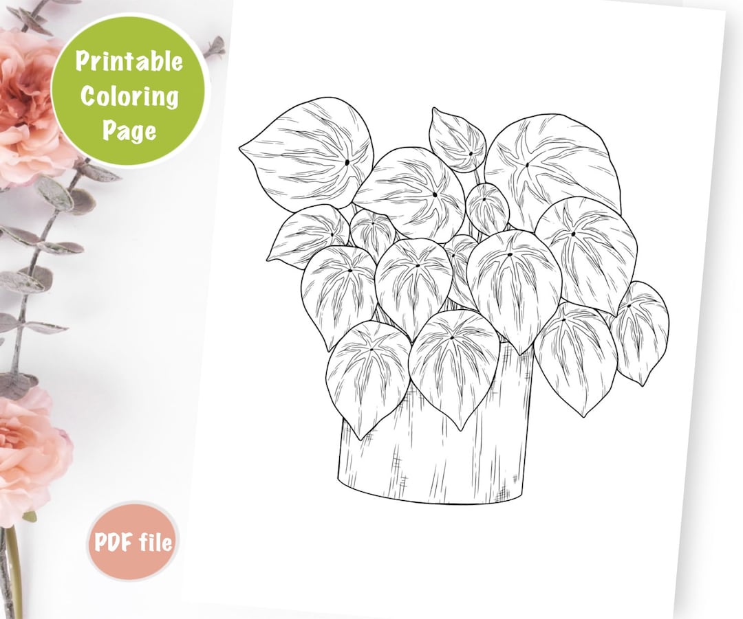 Printable Adult Coloring Page, Botanical Plant Drawing, Indoor Plant ...